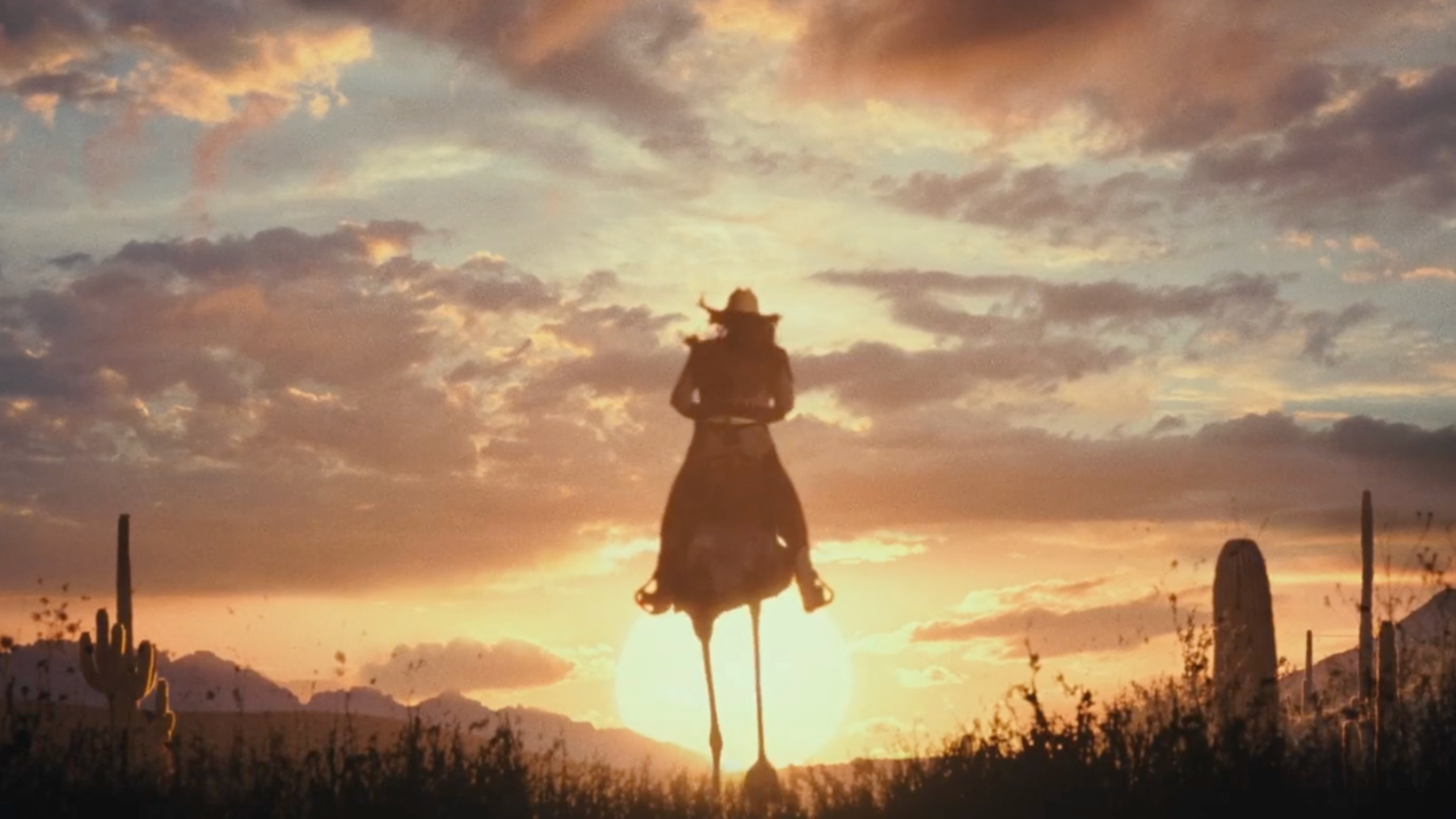 Bueno | A Flamingo And A Freshly Shaven Cowgirl Ride Into The Desert No ...